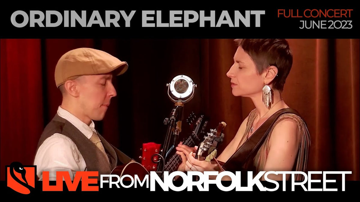 Ordinary Elephant | June 6, 2023 – Live from Norfolk Street